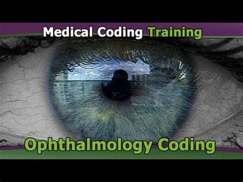 Ophthalmology Coding How Will You Code E M In Ophthalmology