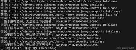 Ubuntu 2204 Sudo Apt Update缺少公钥trustedgpgd Csdn博客