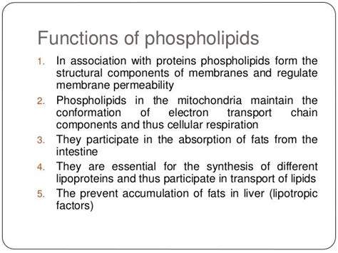 Phospholipids