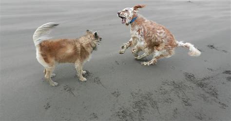 Aaaaagh Imgur