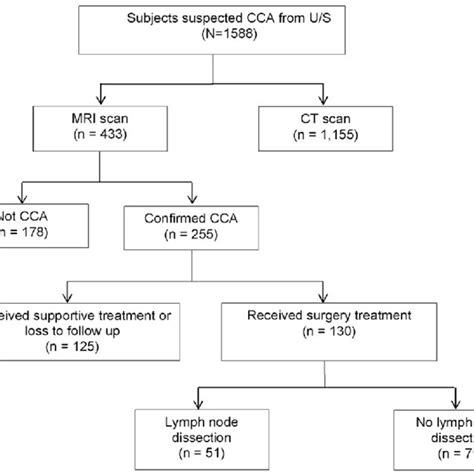Flow Of Subjects In The Cholangiocarcinoma Screening And Care Program