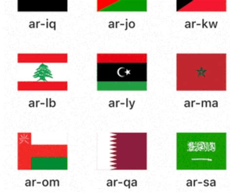 图标 Flutter Package