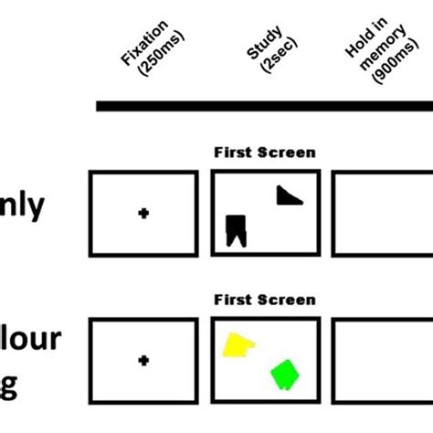 The Two Conditions Shapes And Shapes Colors Binding Of The Visual