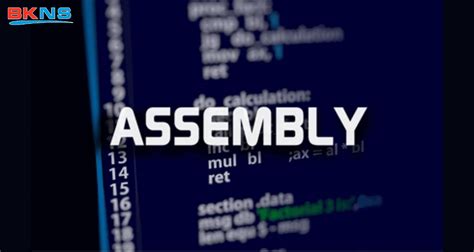 Assembly Là Gì Tìm Hiểu Về Ngôn Ngữ Lập Trình Assembly