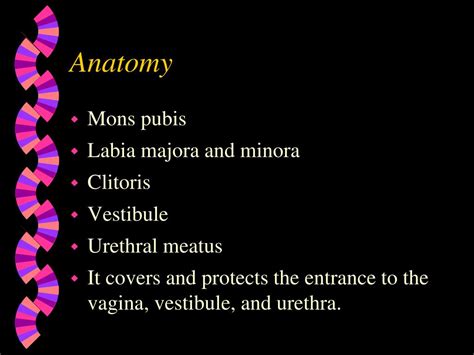 PPT Vulvar Lesions PowerPoint Presentation Free Download ID 347952
