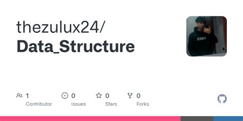 GitHub Thezulux Data Structure