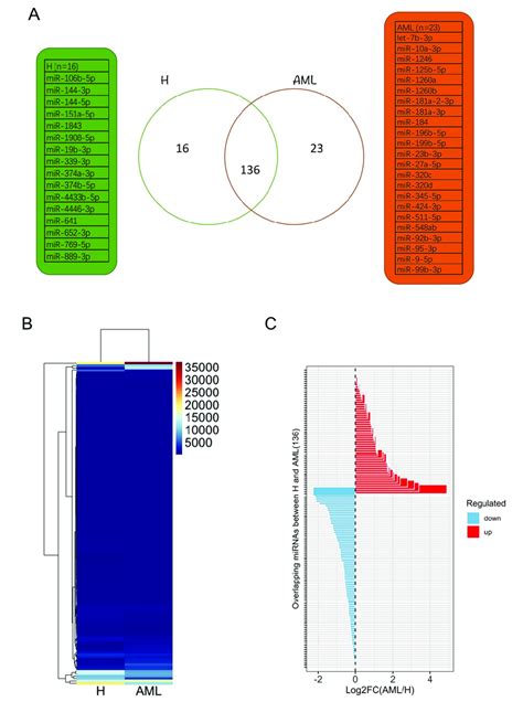 Various Expression Patterns Of Mirnas With More Than 20 Download
