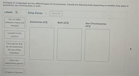 Solved Arranged On A Karyotype Are Two Different Types Of
