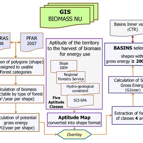 General Structure Of The Procedure For The Assessment Of Forest Biomass