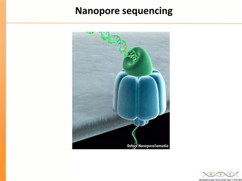 New High Throughput Sequencing Technologies At The Norwegian Sequencing