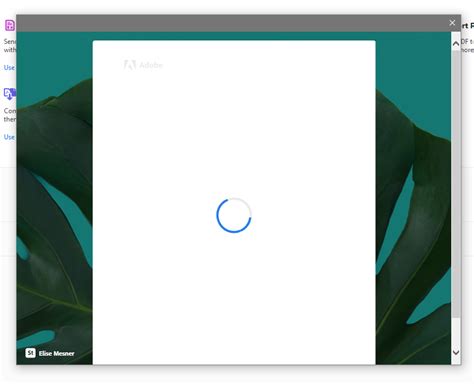 Solved Strange Pop Up Window Appears When Opening Adobe Adobe