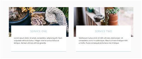 Elementor Template Text Overlap Photo Boxes Baker Web Development