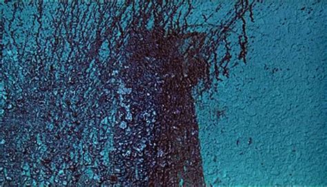 Post 129243848106 Delicious Crab Tumbex