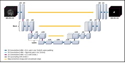 Schematic Representation Of 3d U Net Network Architecture The Network
