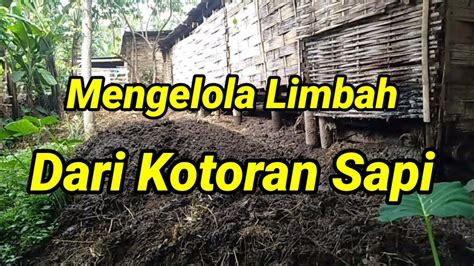 Cara Mudah Membuat Tanah Menjadi Subur - YouTube