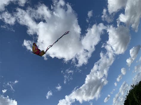 Rest Api Export Data Slices Uk