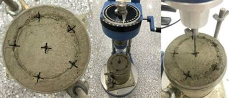 Test Points And Test Steps Download Scientific Diagram