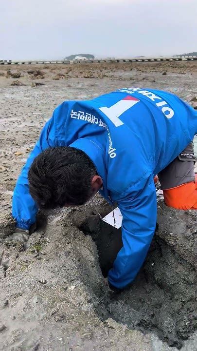 낙지 꼬리 자르기 Youtube