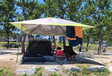 코스트코 콜맨 인스턴트 쉘터타프 기타 캠핑용품 중고나라