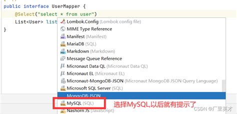 springboot中数据库的连接及mybatis的配置和使用 springboot连接数据库代码 csdn博客