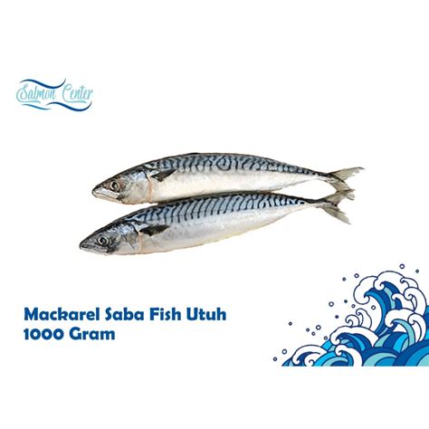 Jual Mackarel Ikan Saba Utuh 1kg Shopee Indonesia