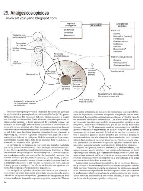 Analgésicos Opioides Farmacología Médica Neal Pdf