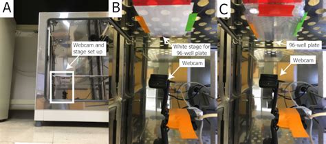 high throughput assays of critical thermal limits in insects makale