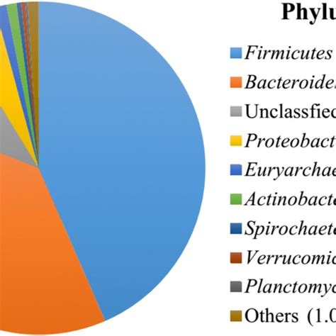 Taxonomic Composition Of The Bovine Fecal Metagenome Distribution Of Download Scientific