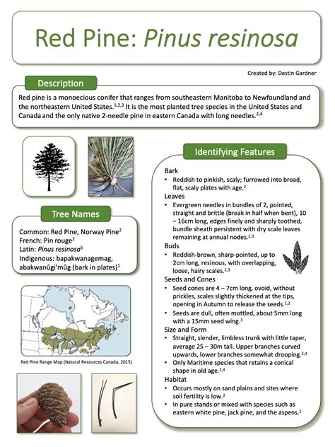 Forest Ecology Tree Fact Sheets Westwood Lab