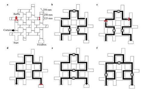 Experimental Task Design Download Scientific Diagram