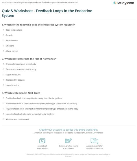 Quiz And Worksheet Feedback Loops In The Endocrine System