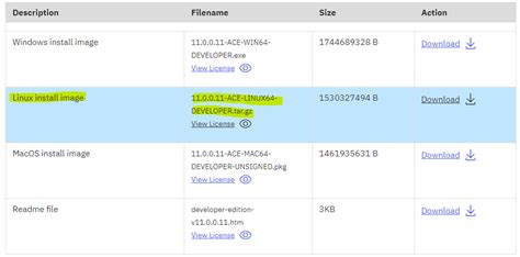 tutorial on how to containerize ibm ace application using docker