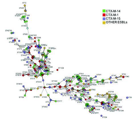minimal spanning tree constructed based on the mlst profiles of the 448