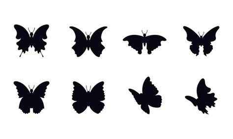 49282379 Transformations Vector Images Depositphotos