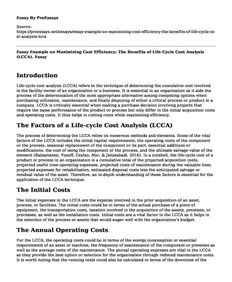 Essay Example On Maximizing Cost Efficiency The Benefits Of Life