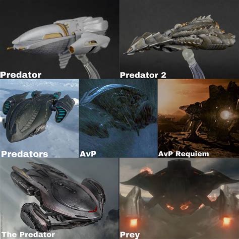 Best R Predator Images On Pholder Would You Be Open To This