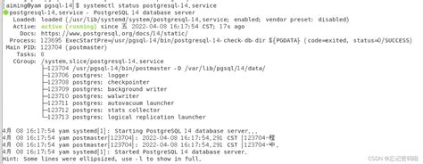 在centos7上安装postgresqlcentos7安装postgresql Csdn博客