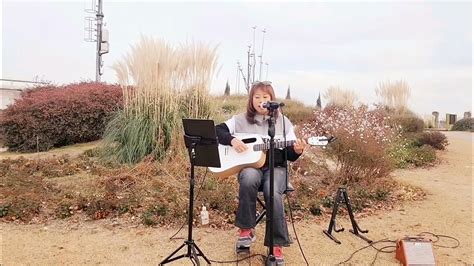 하중도 버스킹 당신의 마음 방주연 노래 Youtube