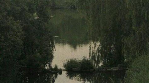 •𝚁𝚞𝚗𝚊𝚠𝚊𝚢• Runawaycore Profile Pinterest