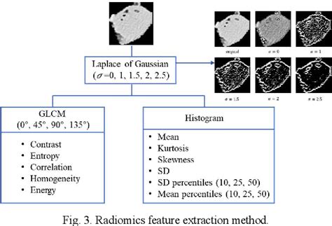 Figure 1 From A Self Attention Based Fusion Model Of Radiomics And Deep Features For Early