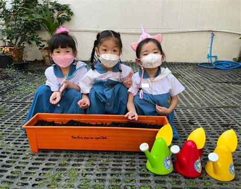 โรงเรียนอนุบาลแสงโสม Project Approach โครงงานเรื่องผักต่างๆ อนุบาล 2 3