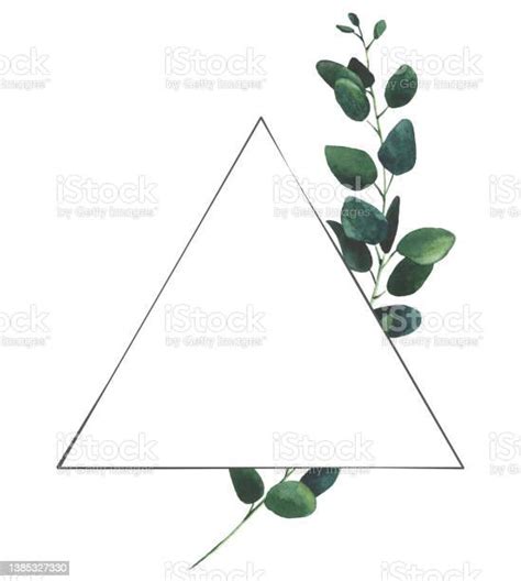 수채화 손은 라인 아트 스타일의 녹색 유칼립투스와 삼각형 프레임을 그린 흰색 배경에 꽃 배열 결혼식에 대한 스톡 벡터 아트 및 기타 이미지 Istock