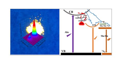 Photon And Phonon Coherence To Enhance Photoluminescence By Magnetic Polarons In Mn Doped