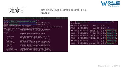 生信入门第八课：rna Seq比对、定量和差异分析三组样本的rnaseq结果比较 Csdn博客