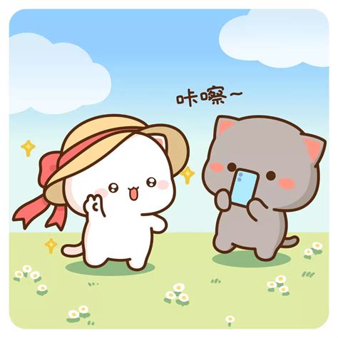 Mochi Mochi Peachgoma Cat Gatos 🌸 Follow Me Mochimochipeachcat