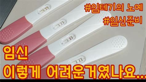 임신준비 브이로그 배란일부터 임테기변화 임신테스트기의 연속 임테기노예 난임브이로그 신혼부부일상 Youtube