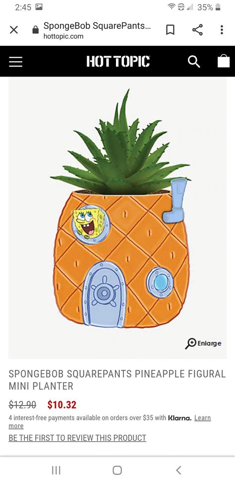 Spongebob Planter Spongebob Spongebob Squarepants Free