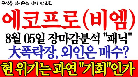 에코프로비엠 주가전망 8월 5일 장마감분석 패닉 大폭락장 외인은 매수 현 위기는 과연 기회인가 에코프로