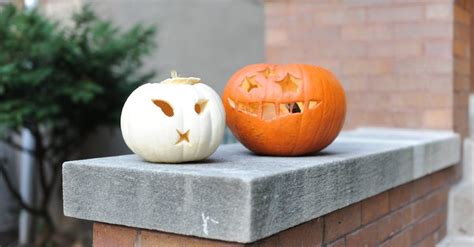 Choosing A WordPress Theme Expert Answers For Success