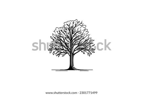 Tree Outline Sketch Drawing Vector Tree Stock Vector Royalty Free 2301771499 Shutterstock